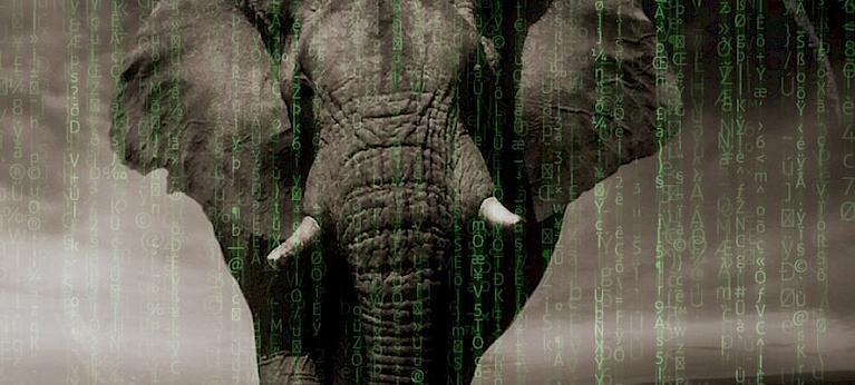 Technological solutions to combat Wildlife Cybercrimes - Mozilla ...